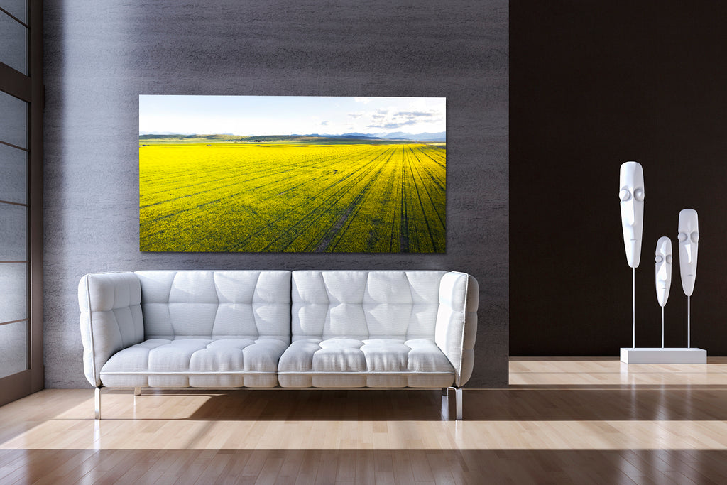 Follow the Lines of Summer | Prairies Art Print | J² Studios