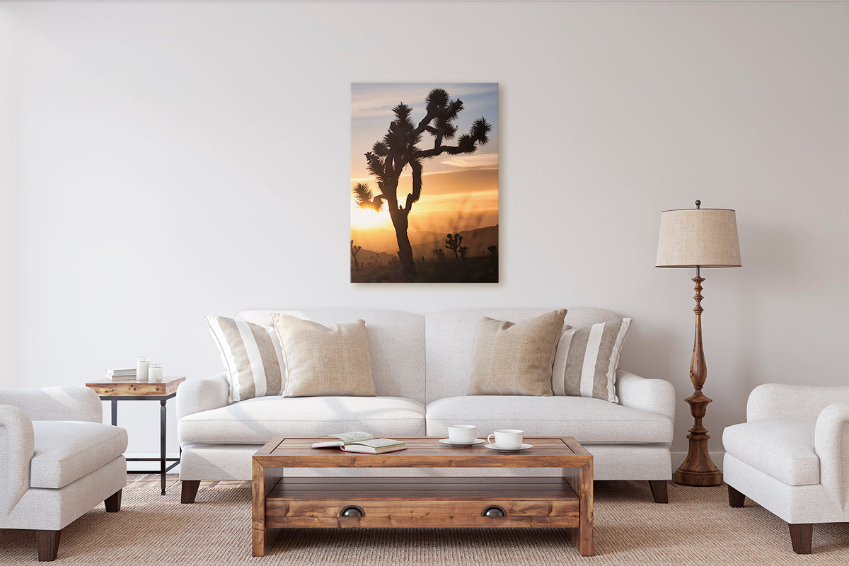 Joshua's Silhouette | Photo Art Print | J² Studios